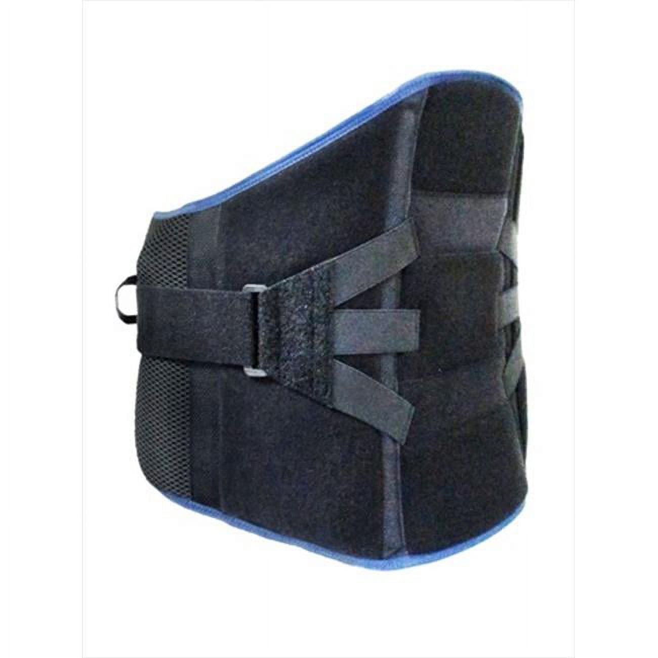 LPR 2000 LPR637-M L0637 Lumbar Pain Reliever- 14 in. Height - Medium ...