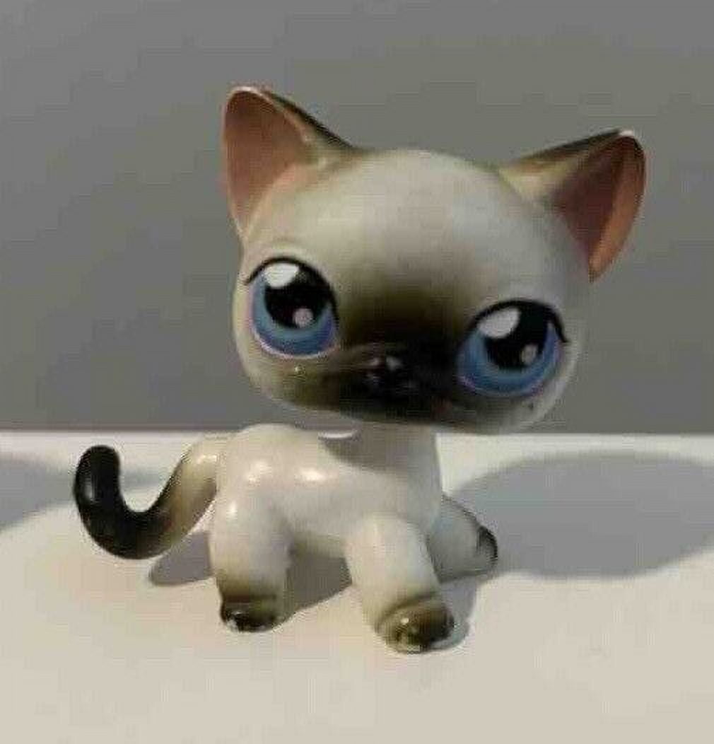 LPS-Littlest Pet Shop #5 Short Hair Cat Siamese Blue Eyes {AUTHENTIC ...