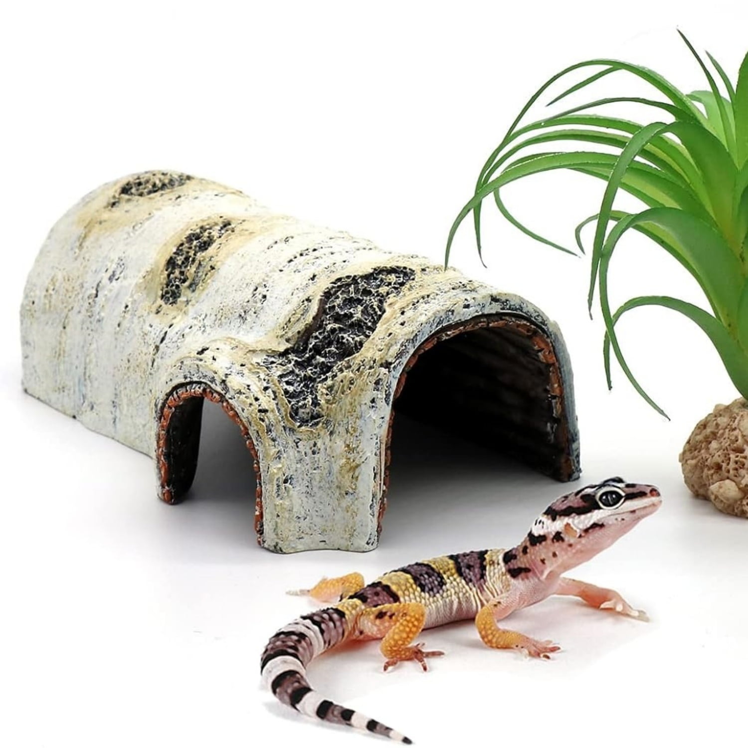 LQQBOX Artificial Birch Log Hide Reptile Shelter Leopard Gecko Young ...