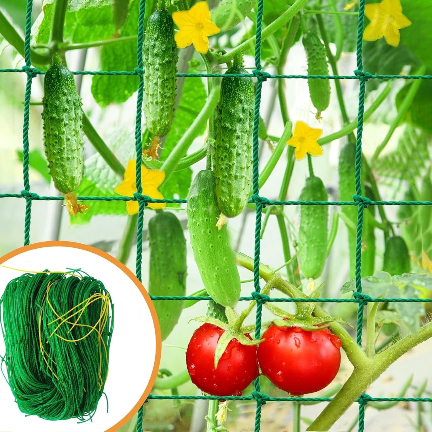 LQQBOX Garden Nylon Mesh Plant Support Trellis Netting Plant Climbing ...
