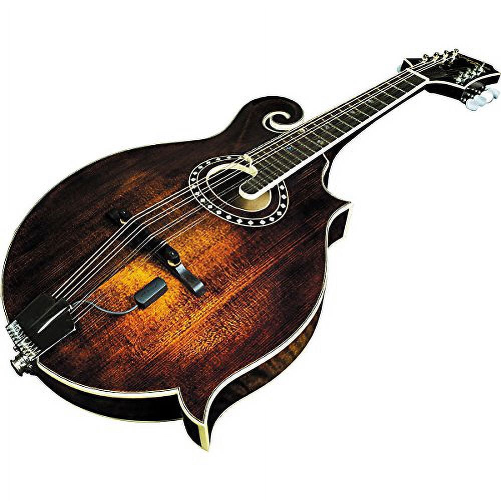 LR Baggs Mandolin Pickup with external Jack Mount - Walmart.com