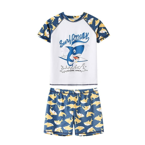 LRen Boys Swim Set 4t Cartoon Dinosaur Two Piece Kids Swimsuit Summer ...