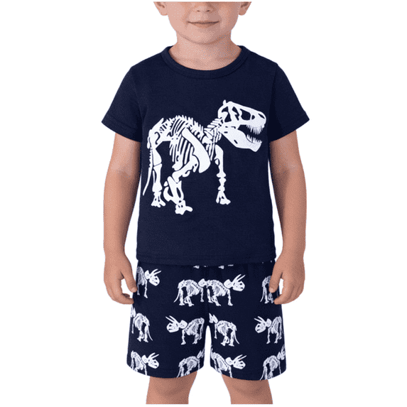 LRen Toddler Boys Outfits Cute Dinosaur Print T Shirts Tops Shorts ...