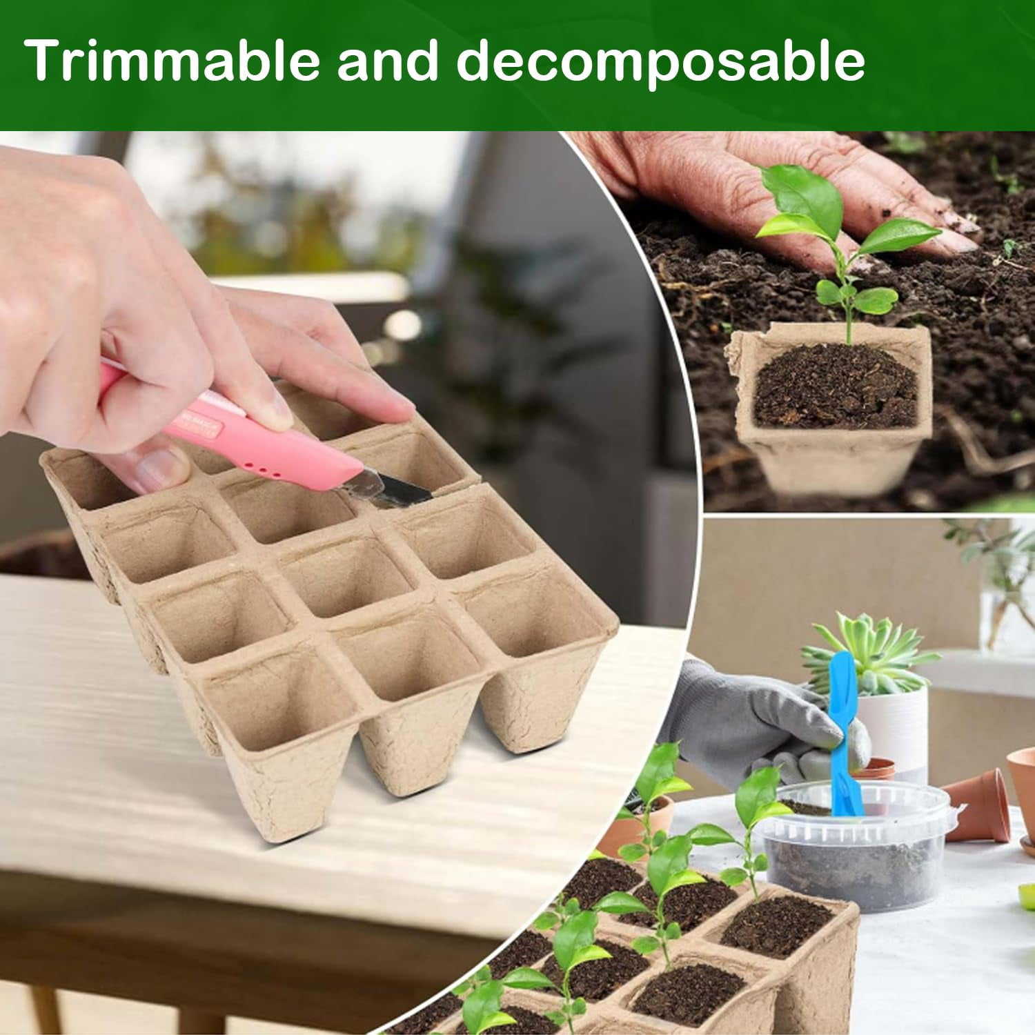 LSCQYYCC-10 Packs Seedling AJH3 Starter Trays 120 Cells, Biodegradable ...