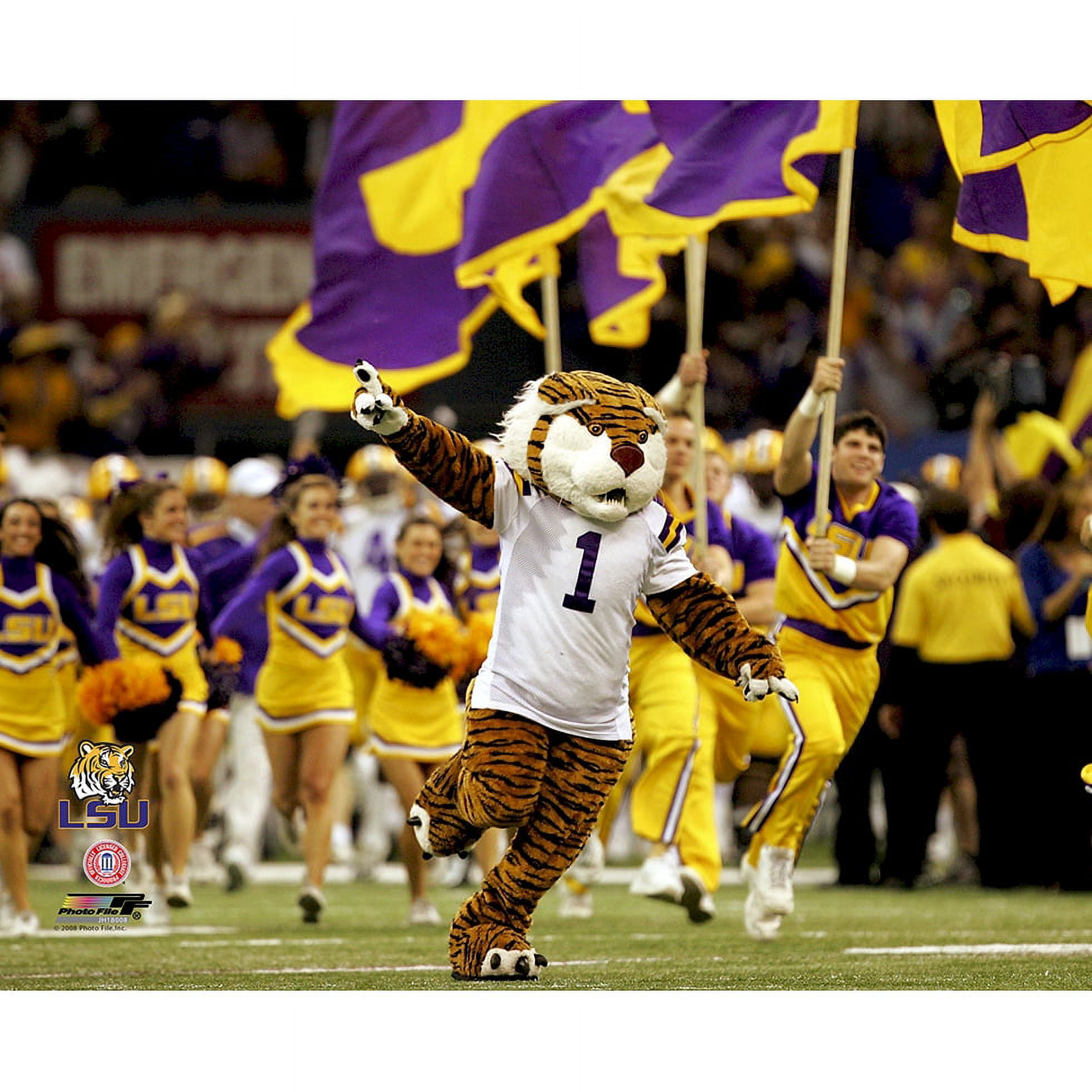 LSU Tigers Mascot 2008 16"x20" Print - Walmart.com