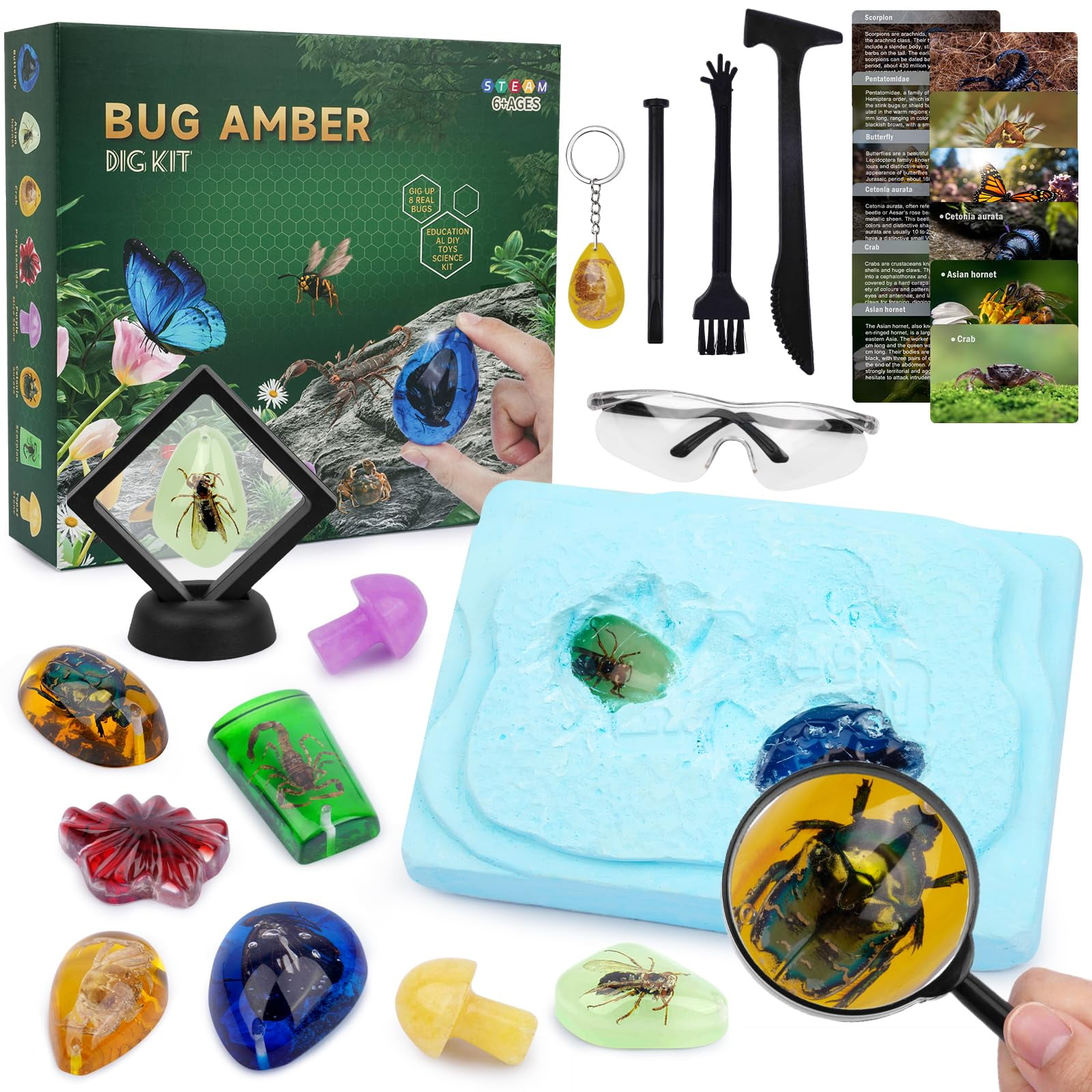 LSYDCARM Amber Dig Kit, MMF7 Insects Specimens Excavation Kit, Real ...
