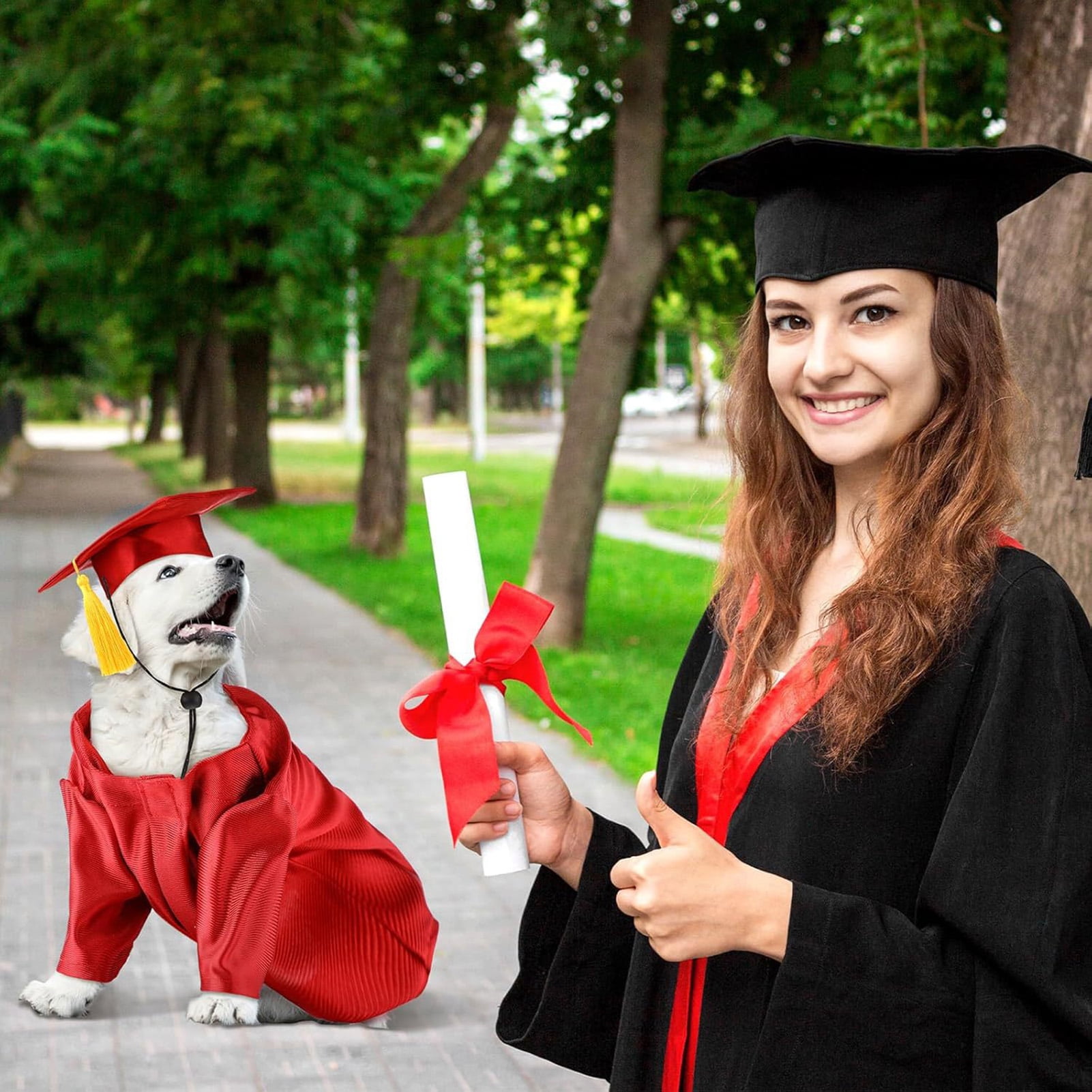 LShunze Dog Cat Graduation Cap and Gown Set 2025 Washable Dog Costume ...