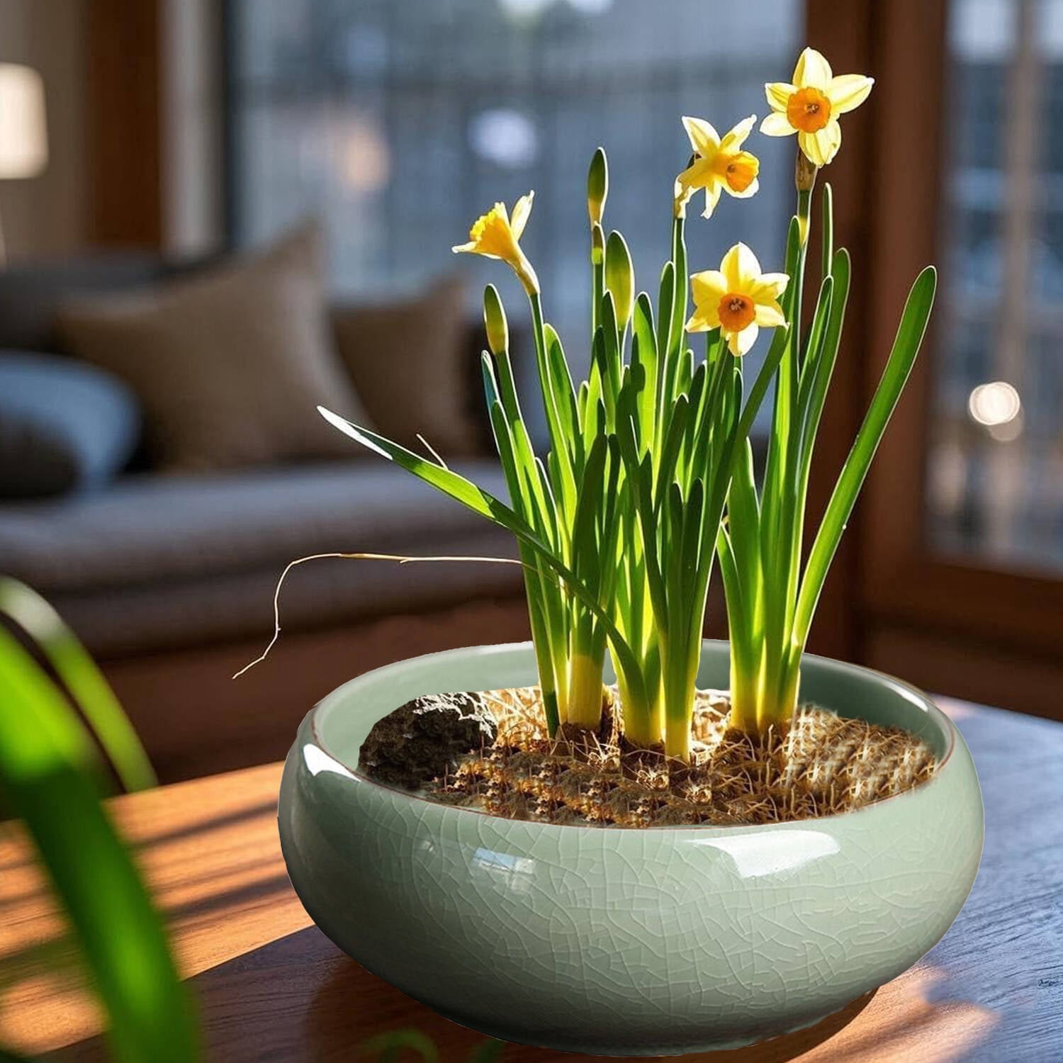 LShunze Lotus Bowl Planter, Round Ceramic Lotus Flower Bowl for Water ...