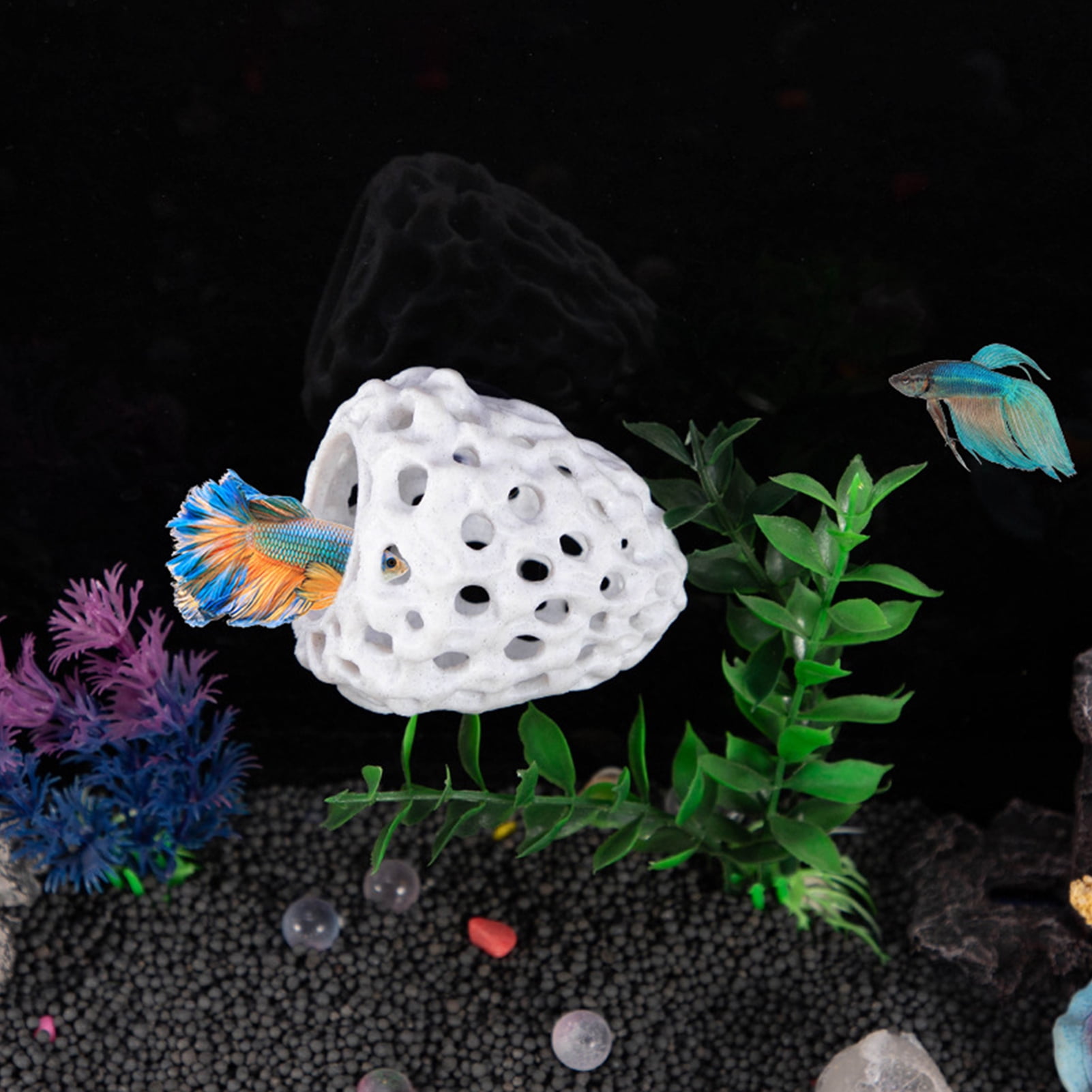 LShunze Shrimp Dome Hide, Shrimp Hides for Aquarium, Betta Fish Hideout ...