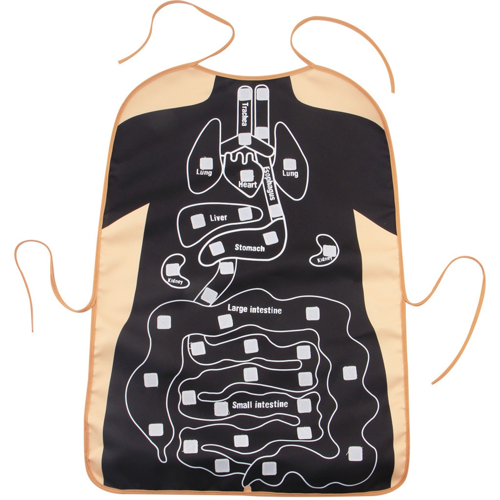 LUCKYLTT1 3D Organ Apron, Anatomy Apron Human Body Organs Awareness ...