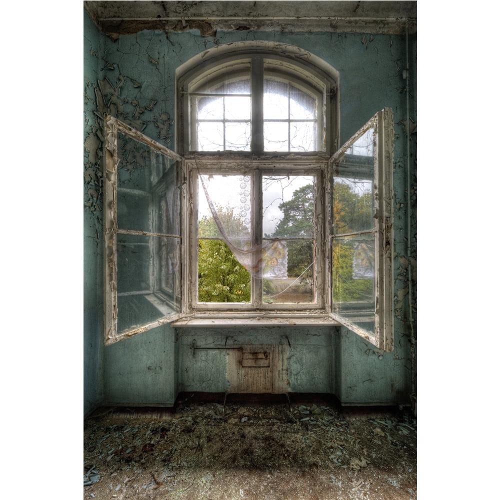 LUCKYXTT Vinyl Wood Wall Floor Photography Studio Prop Background 3x5FT ...