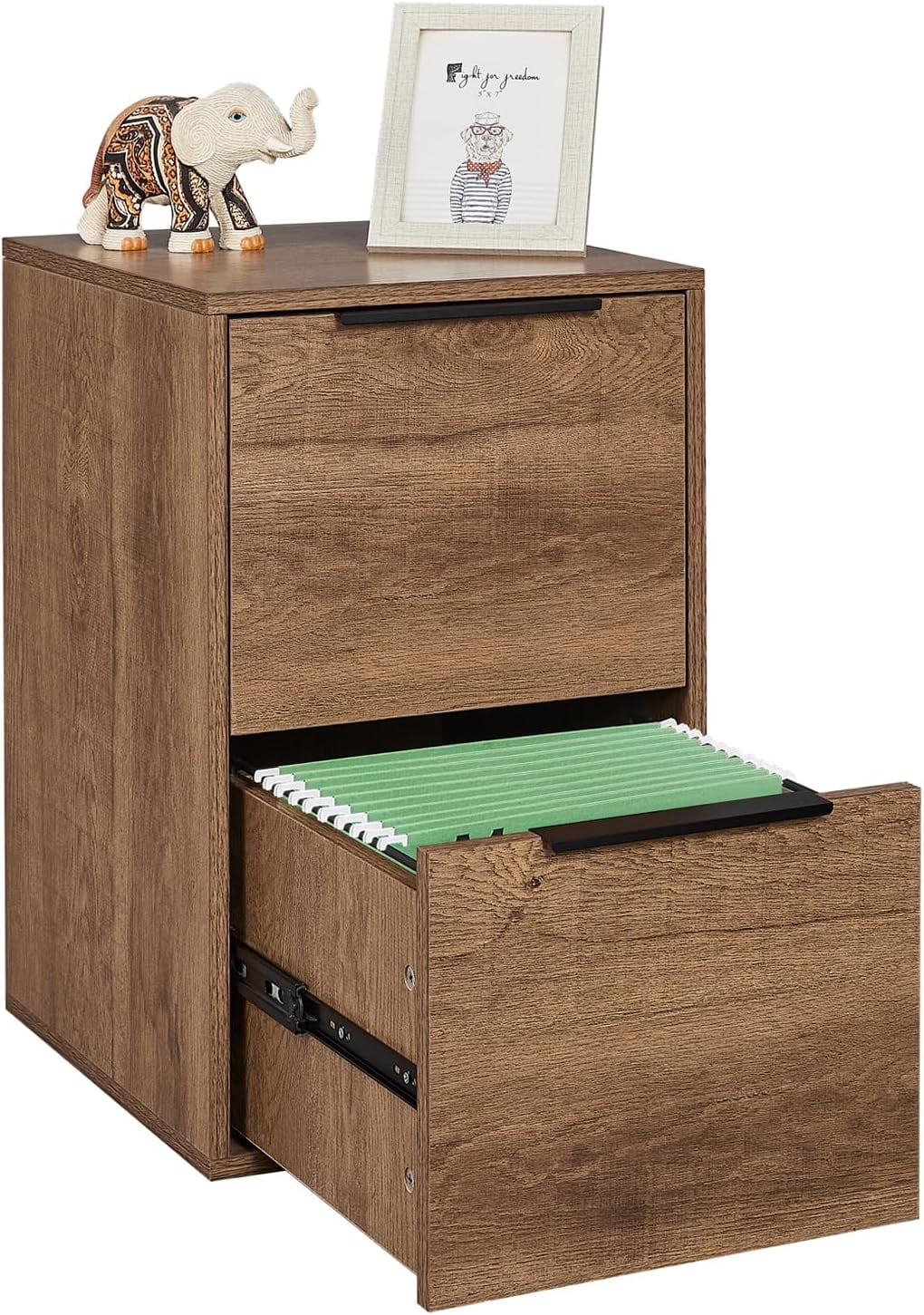LUCYPAL 2 Drawer Wood File Cabinet,Small Filing Cabinets with Hanging ...