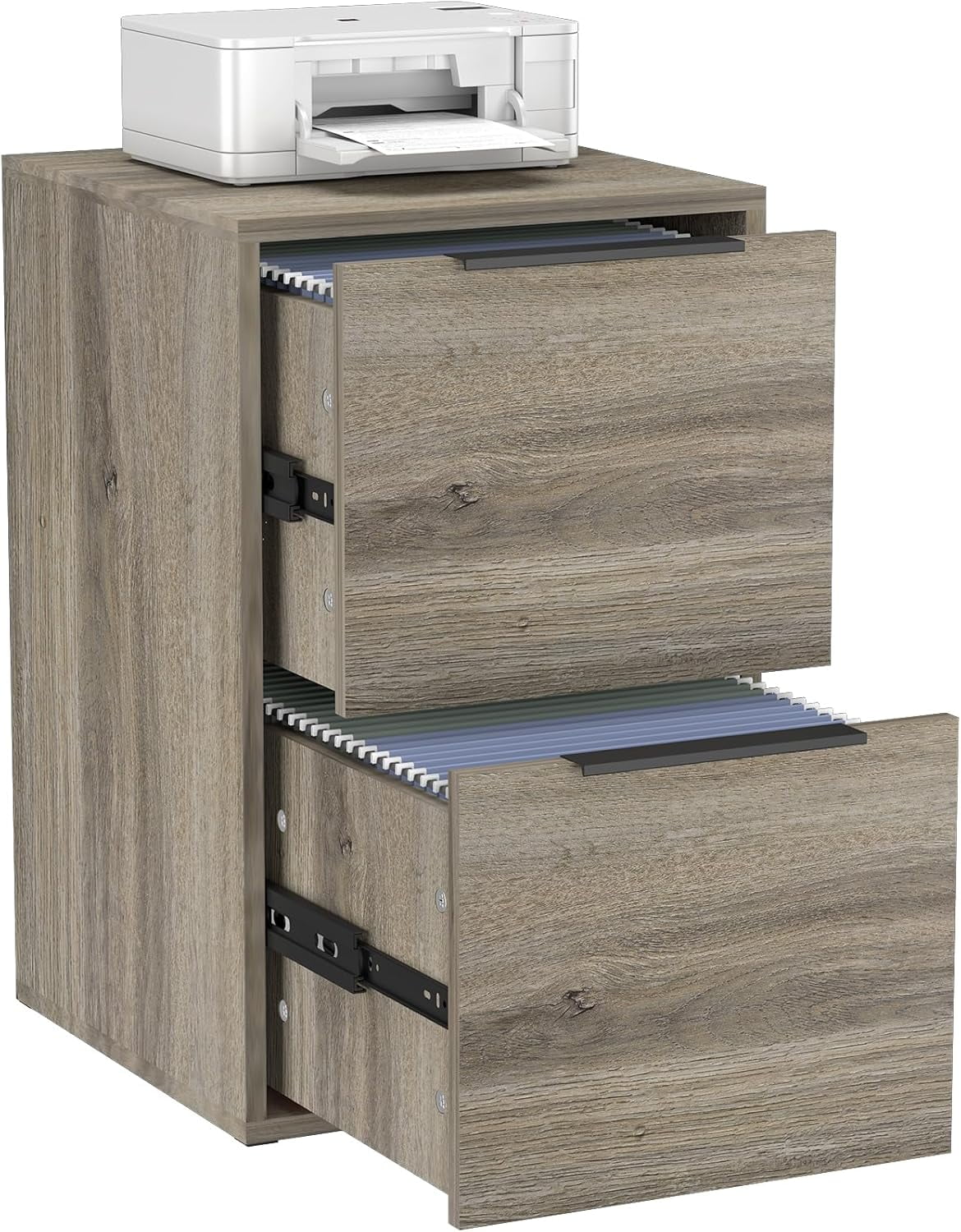 LUCYPAL Wood File Cabinet,2 Drawer Wood File Cabinets for Home Office ...