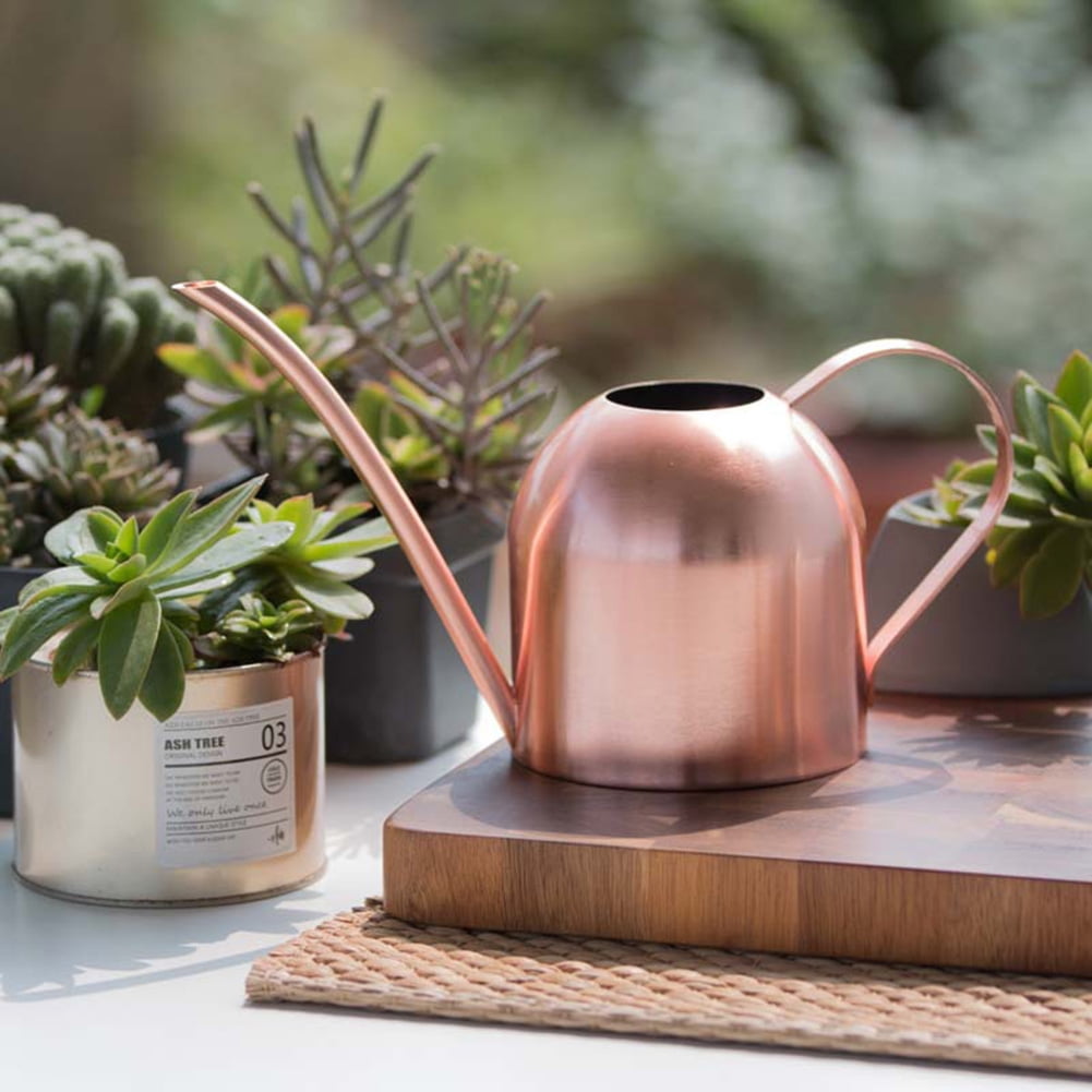 LUDLZ Mini 500ML Rose Gold Stainless Steel Watering Can with Fine ...