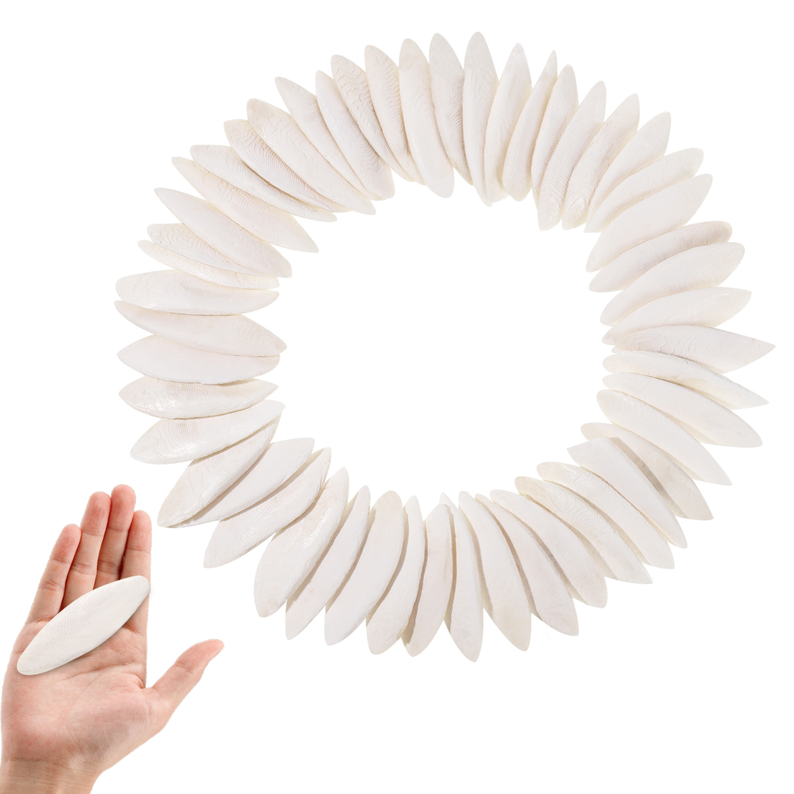 AE Cage Company Captain Cuttlebone Flavored Cuttlebone - Premium Source ...