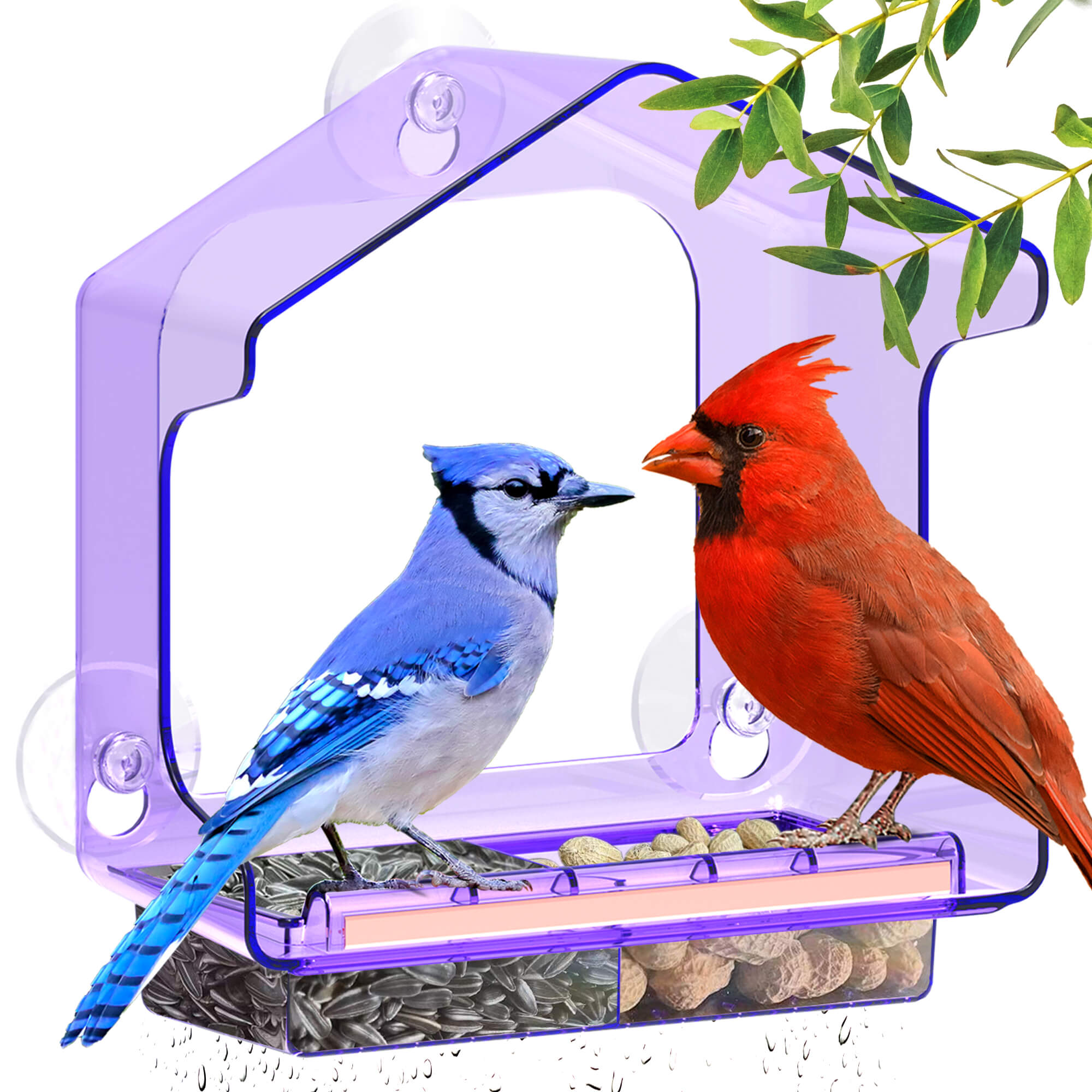 2 Way Mirrored Bird House See Through Suction Cup Window Mounted Bird ...