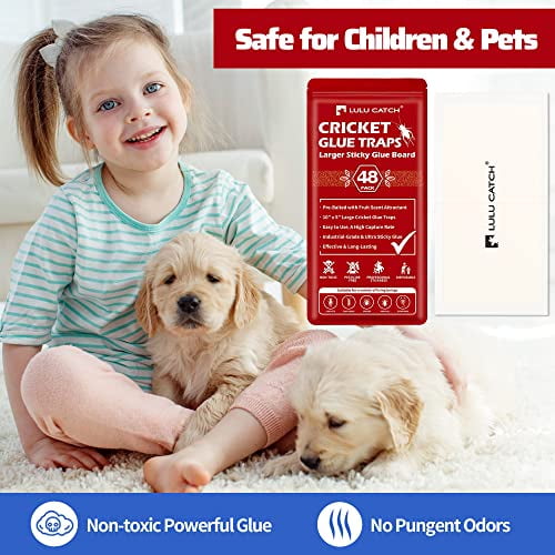 LULUCATCH Cricket Insect Glue Traps - 48 Pack Bug Sticky Traps, Large ...