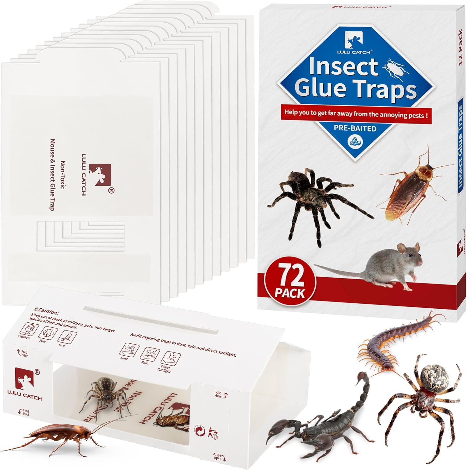 LULUCATCH Spider & Insect Glue Traps,72 Pack Pre-baited Cockroach Glue ...
