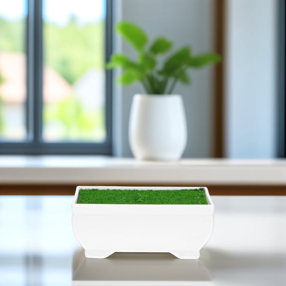 Styrofoam Planter