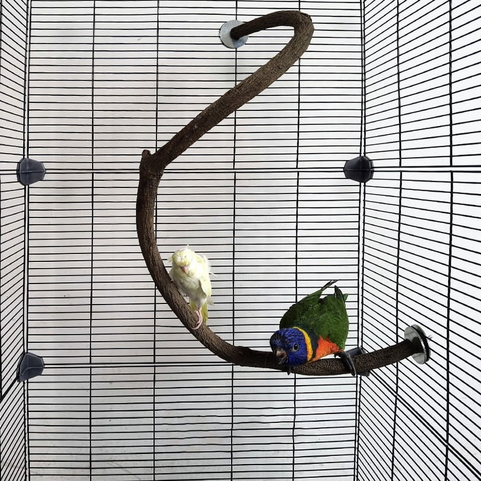 LULULION 1Pack Parrot Perch Stand Metal Random Color for Bird ...