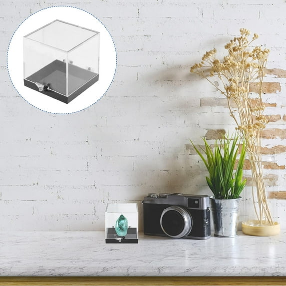 LULULION 8Pcs Transparent Plastic Specimen Organizing Box with ...
