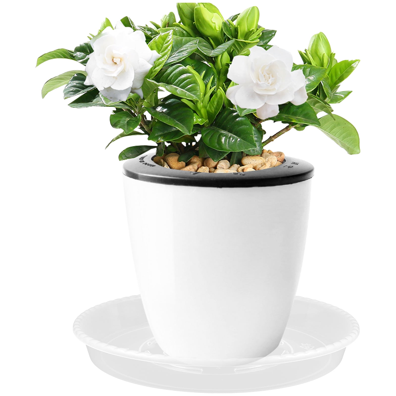 LULULION 8pcs Transparent Planter Bottom Tray to Prevent Water Leaking ...