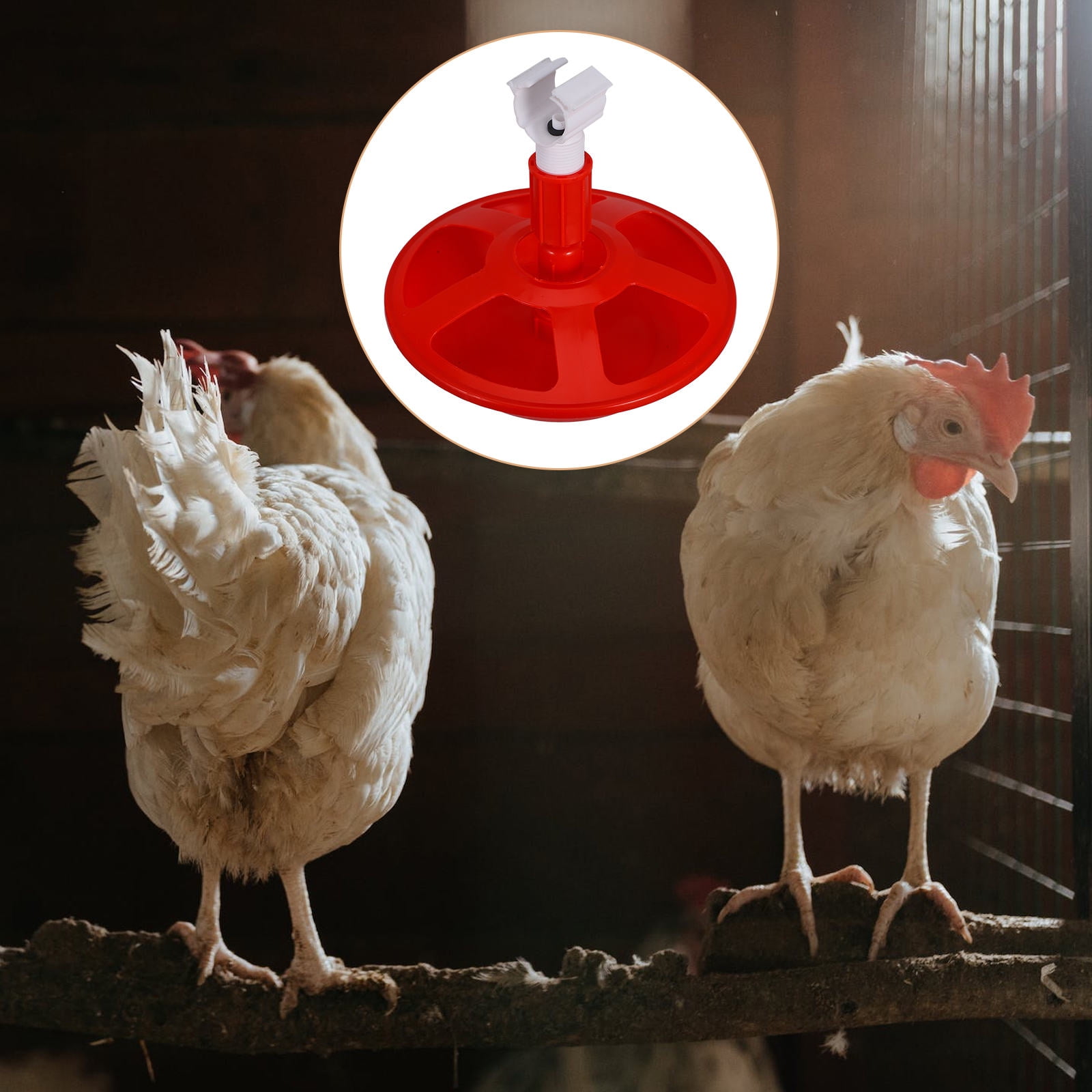 LULULION Duck Automatic Water Dispenser Poultry Waterer Quail Red ABS ...