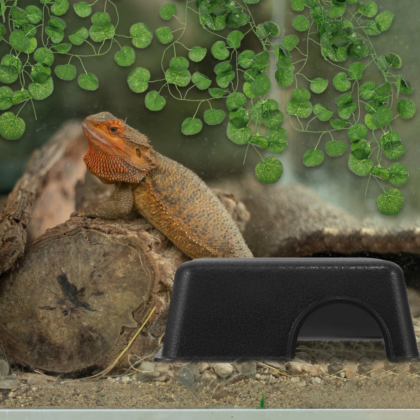 LULULION Reptile Hiding Hut Reptile Log Hide Black Plastic Hiding Place ...