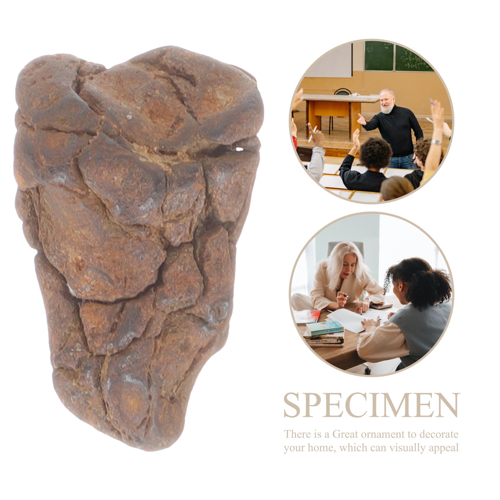 LULULION Meteorite Educational Specimen Meteorite For Classroom ...