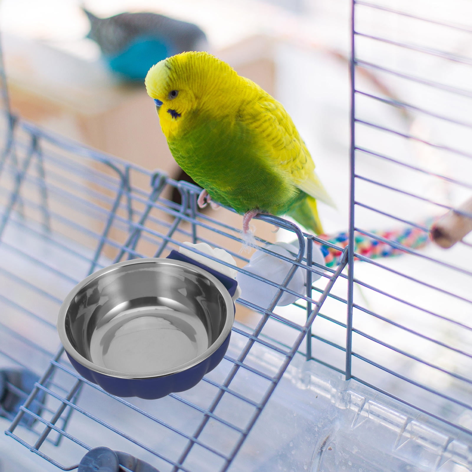 LULULION Stainless Steel Parrot Feeding Dish with Antislip Design for ...