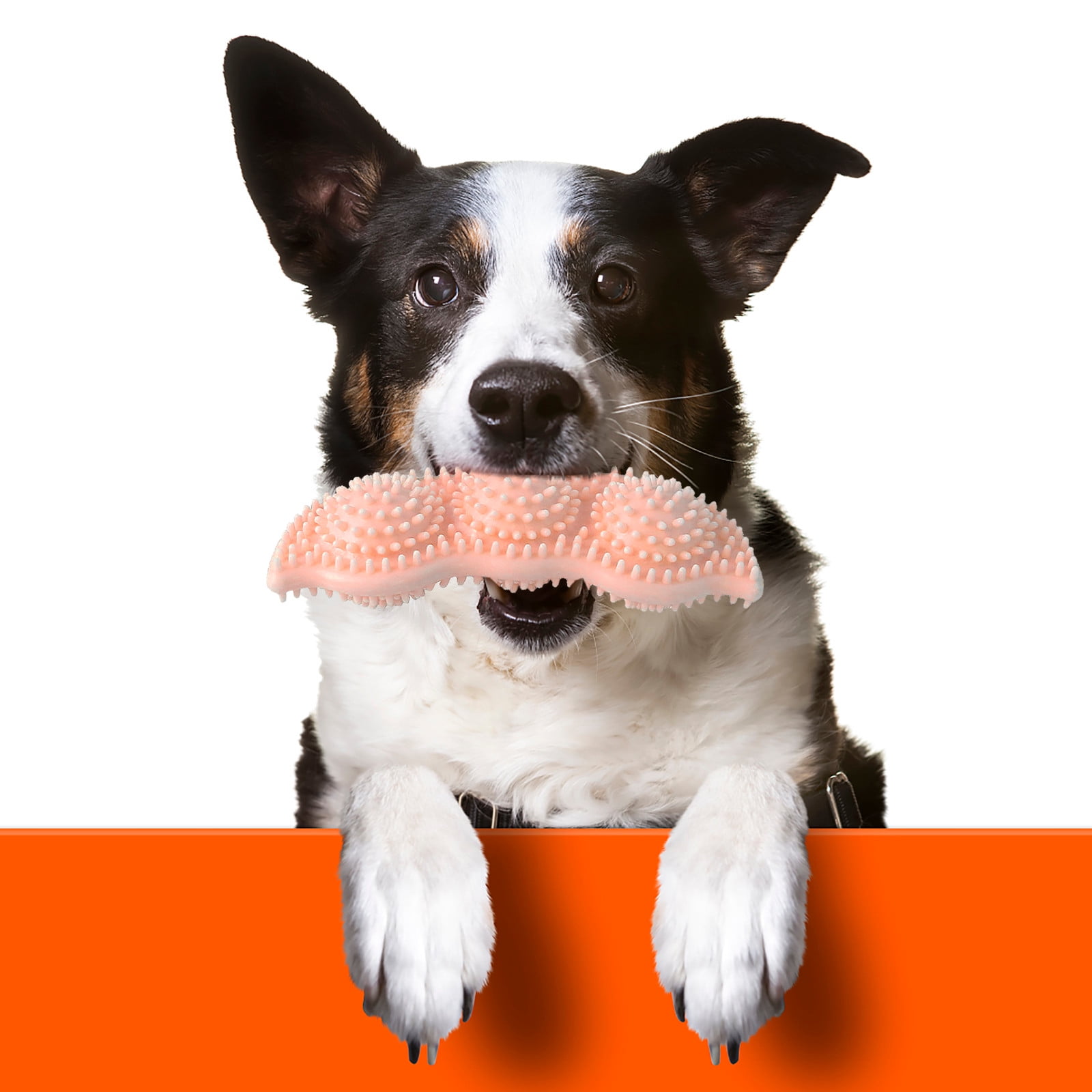 LUODU Bones & Chews Rubber Dog for Aggressive Chewers Hard Chew for ...