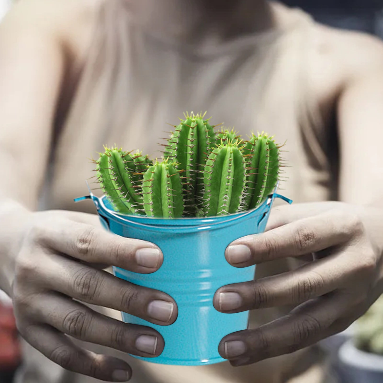 LUODU Cement Flower Pot Grinder Flower Stands for Indoor Modern Clear ...