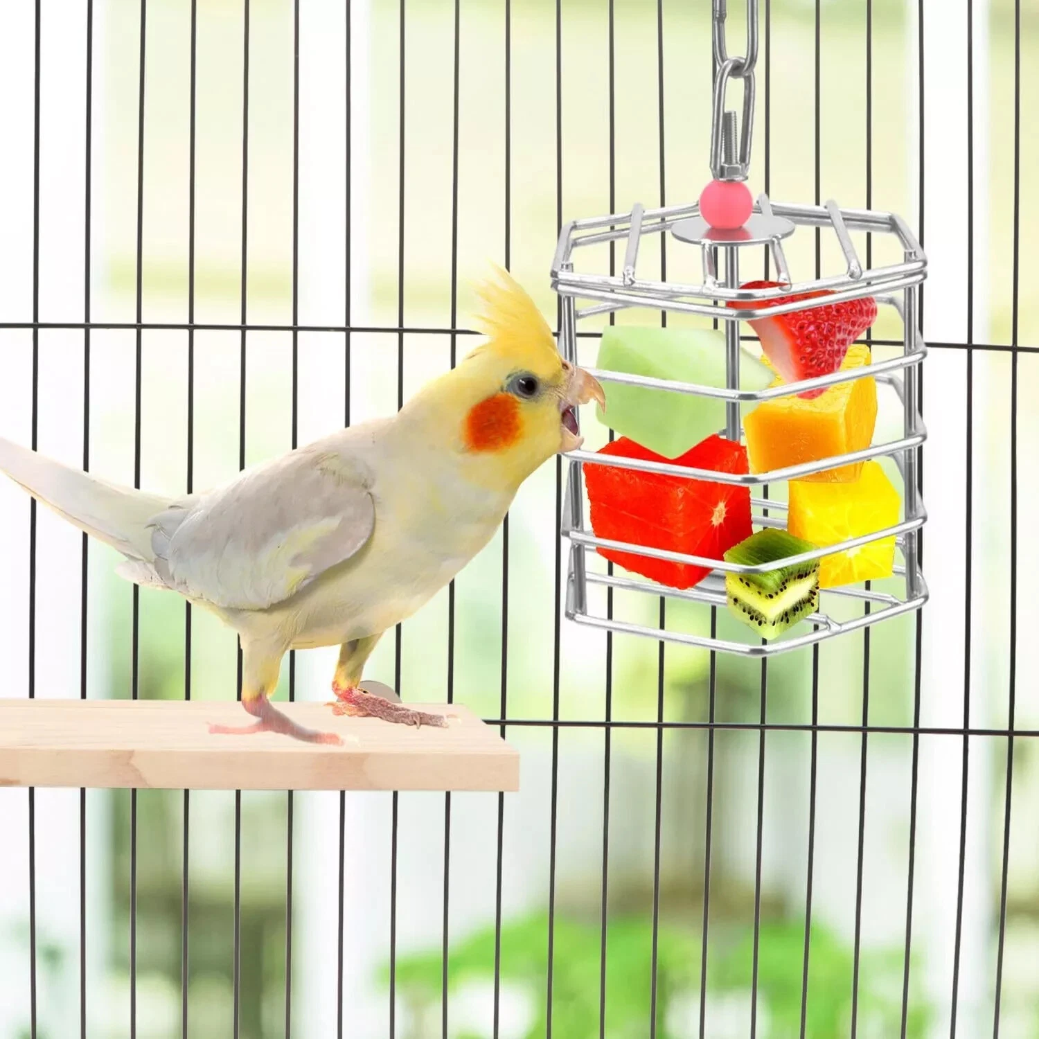 LUOLAX Bird Stainless Steel Foraging Feeder Parrot Hanging Feeding Box ...