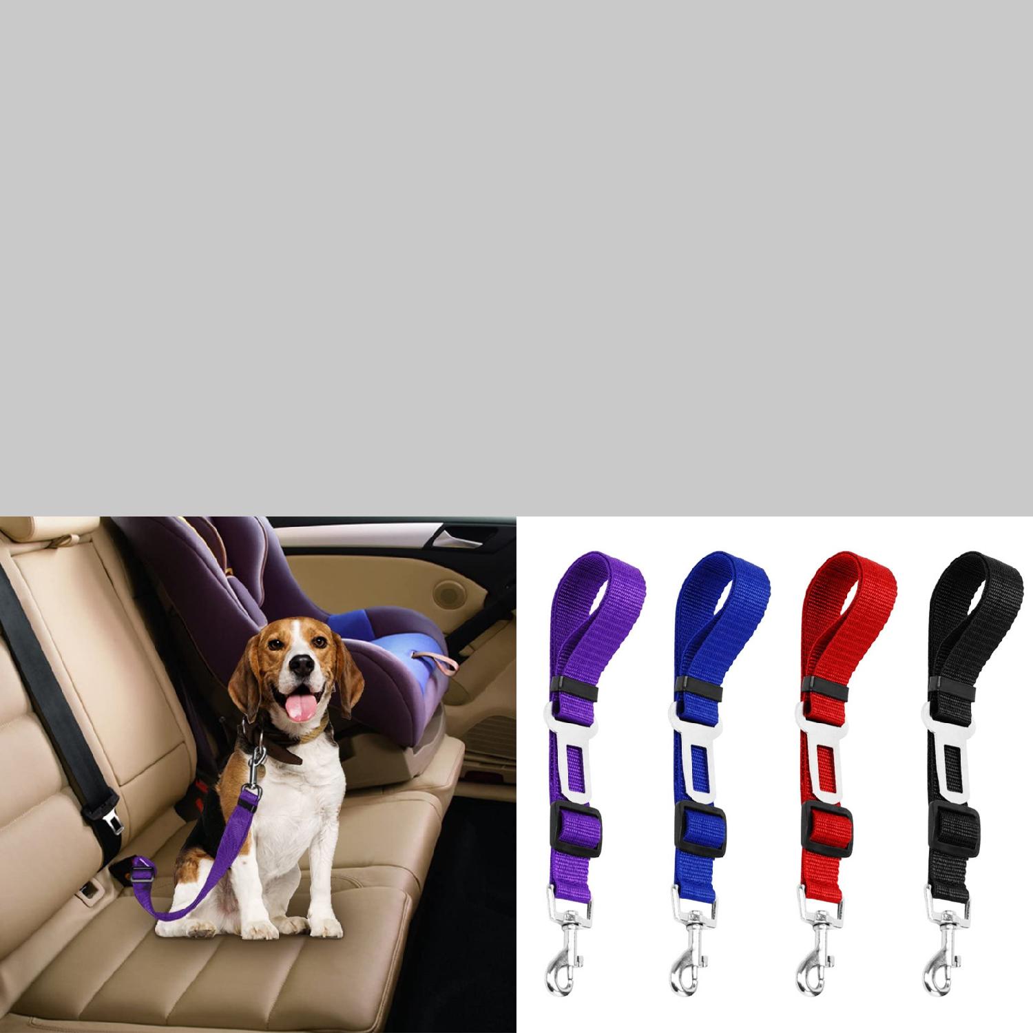 LUOPLNG Secure outdoor adventure with your loyal furry friend amidst ...