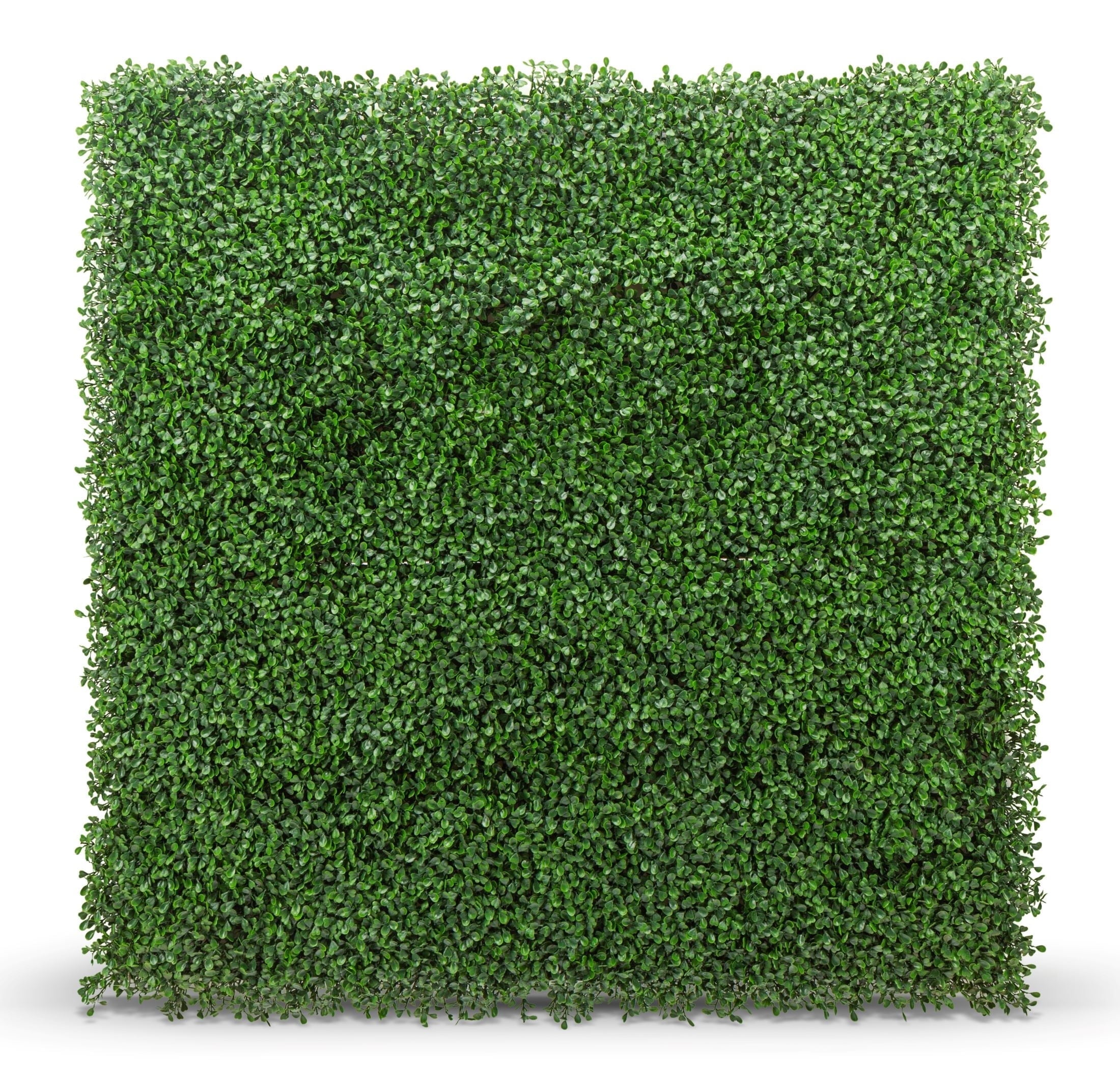 Lush Estate Boxwood Hedge Wall Panels, 40" x 40", High Density Green ...