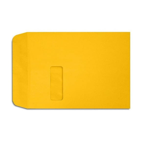 Window Envelopes in Envelopes - Walmart.com