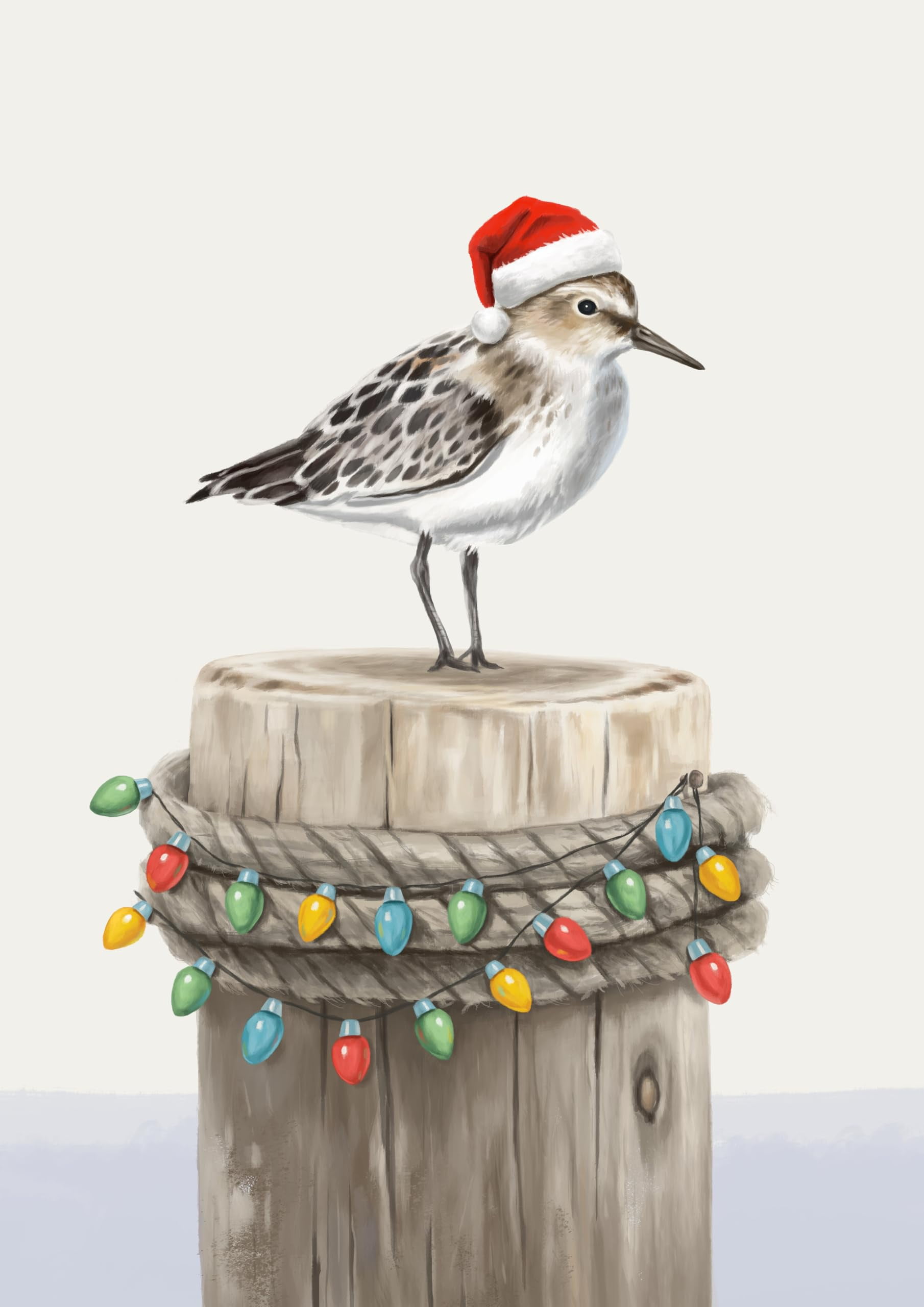 LUX PRESS PREMIUM USA-MADE BOXED CHRISTMAS CARDS OF CHRISTMAS SANDPIPER| 6 X 8 Size | 16 Cards ...