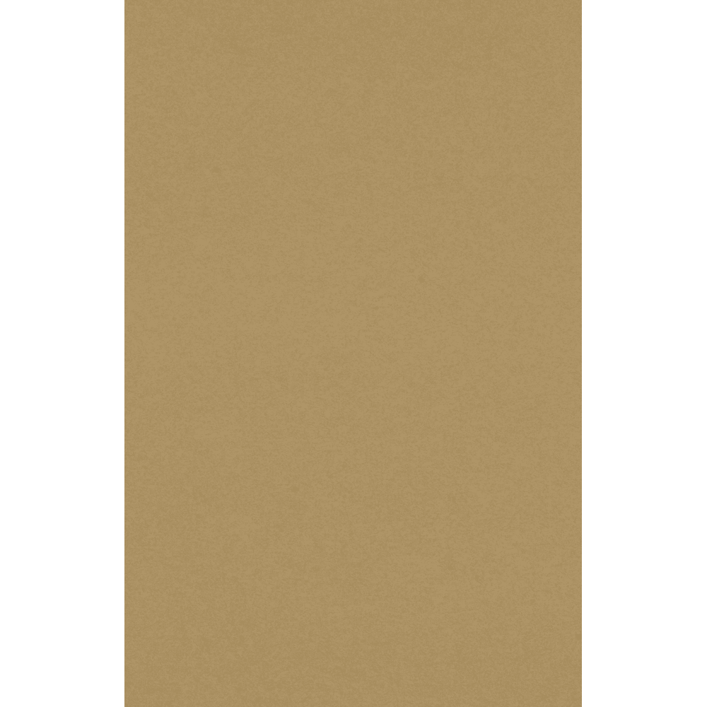 JAM Paper 11 x 17 Paper, 28lb Grocery Bag, 50/Pack - Walmart.com