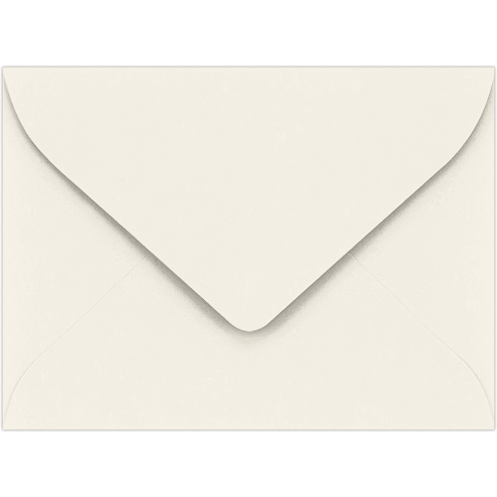 Luxpaper Envelopes for Office Document Organization - Walmart Business ...