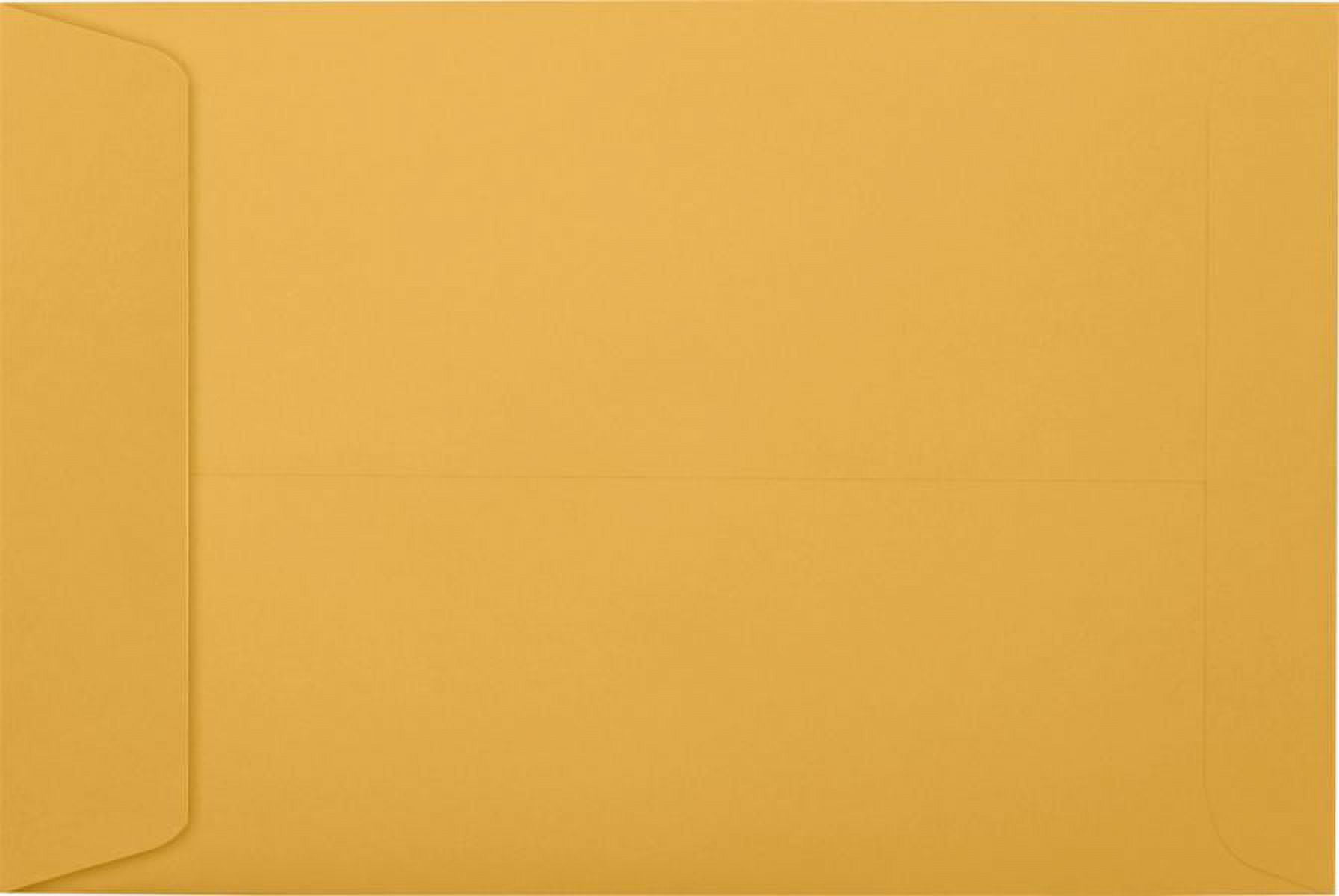 LUXPaper 6 x 9 Open End Window Envelopes, Brown Kraft, 50/Pack ...