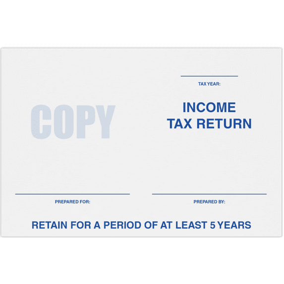 LUXPaper 6 x 9 Tax Return Booklet Envelopes, Bright White, 250/Pack ...