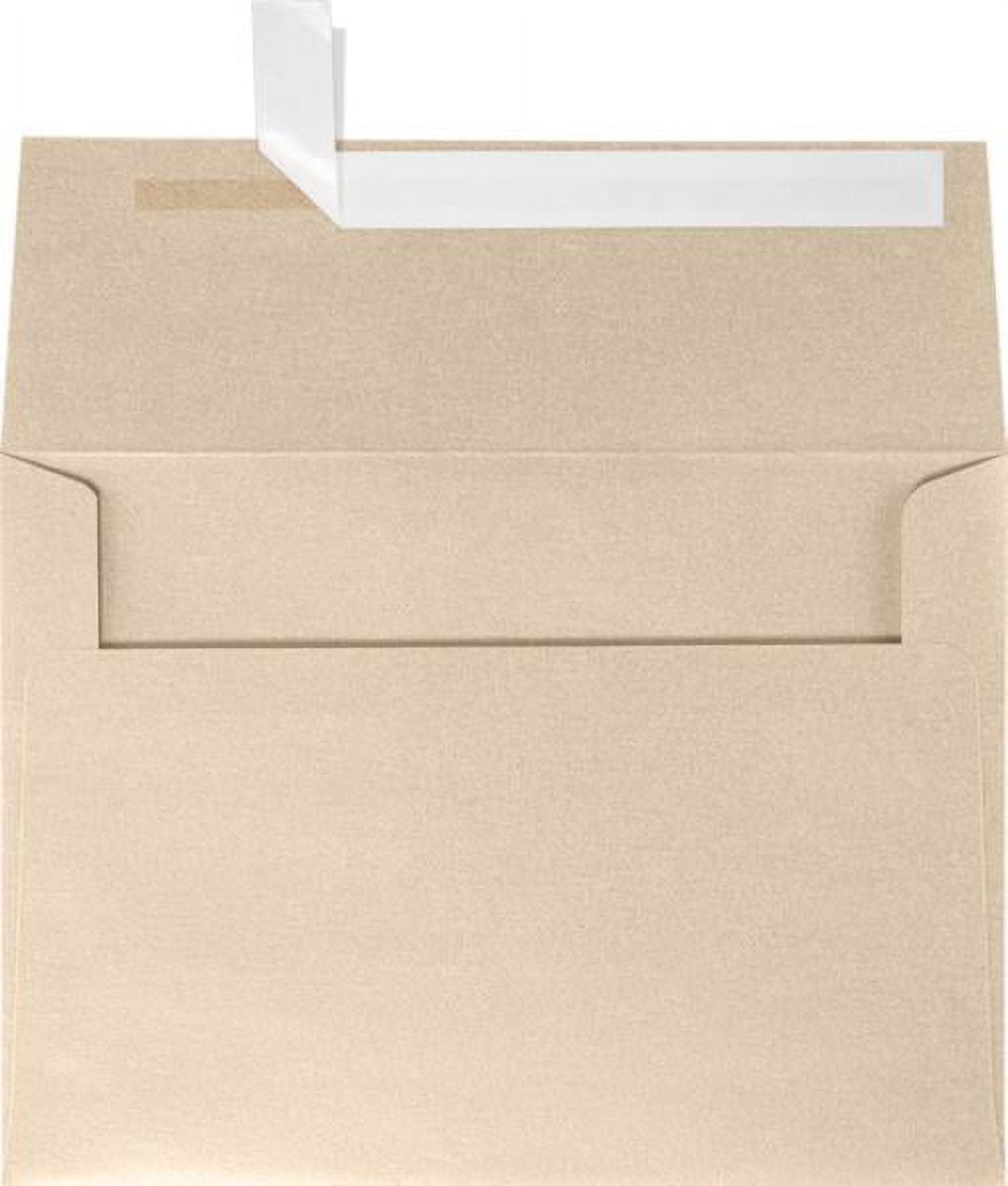 Luxpaper Envelopes for Professional Business Mailings - Walmart ...