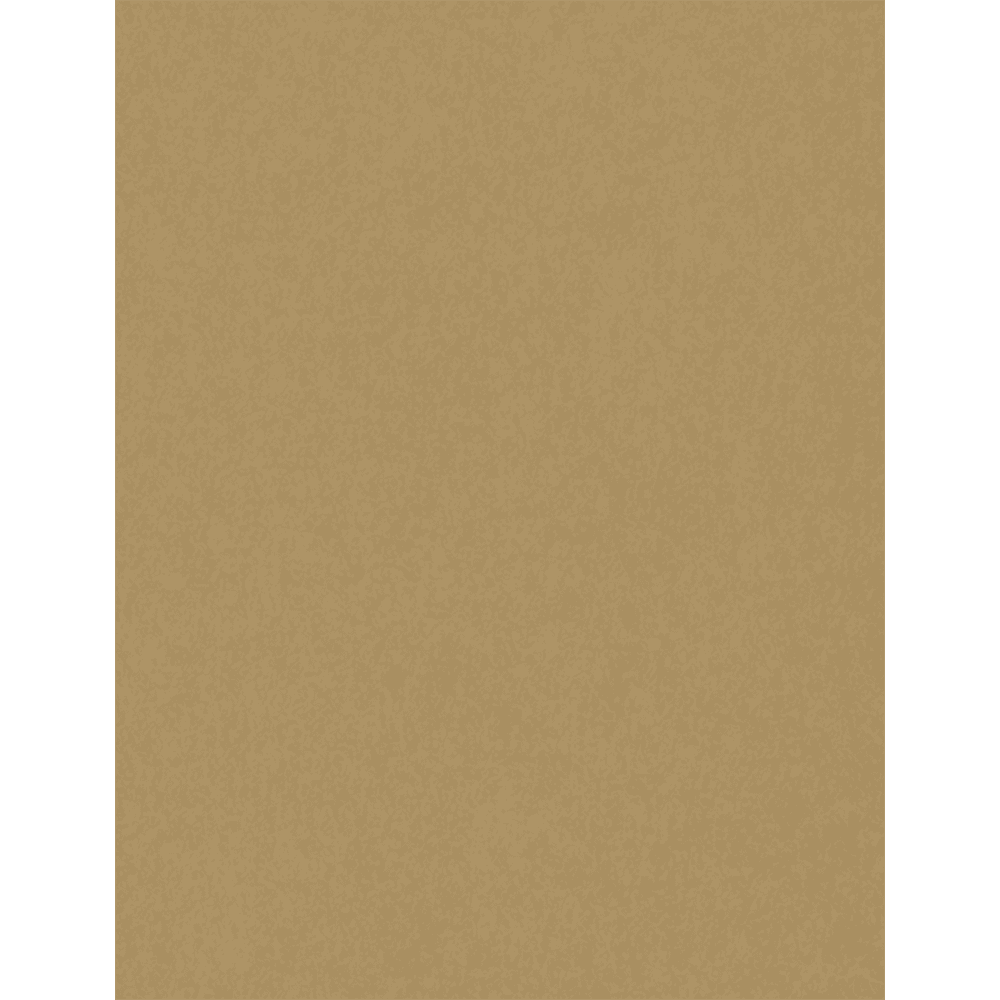 LUXPaper Premium Cardstock Paper, 4 2/16 x 5 7/16, 65lb. Grocery Bag ...