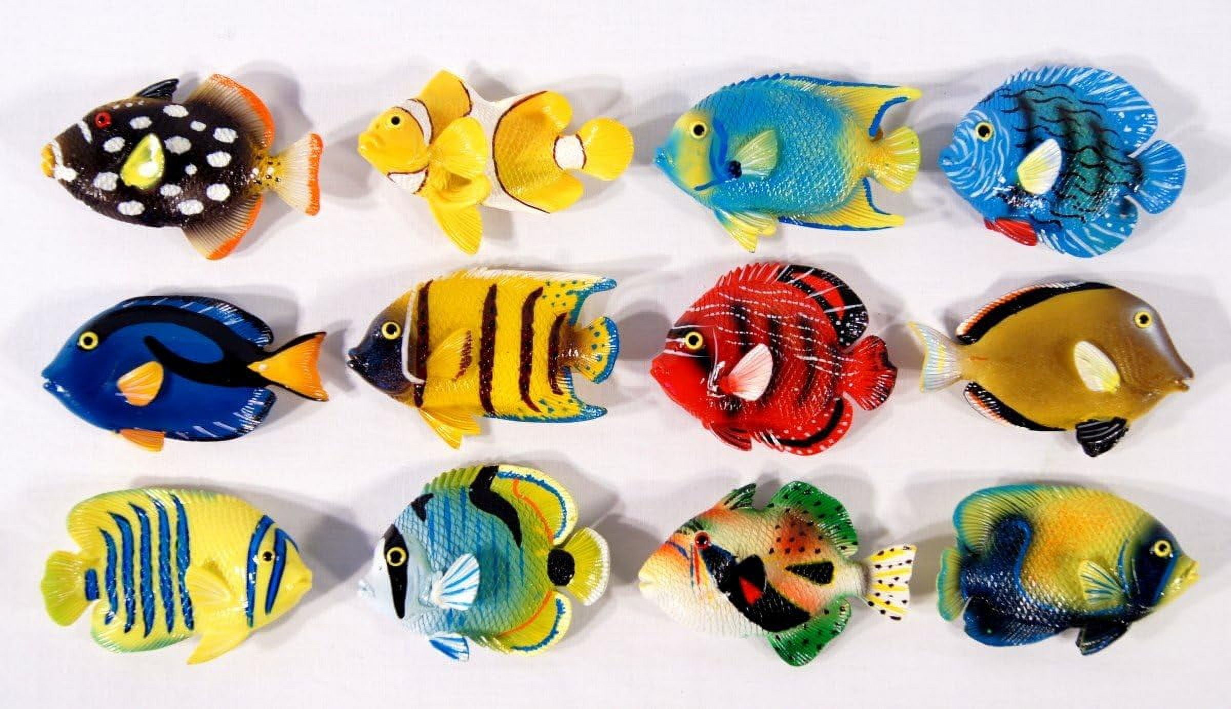 LX Wholesale Pack Handpainted Assorted Tropical Fish Magnet (Set of 12 ...