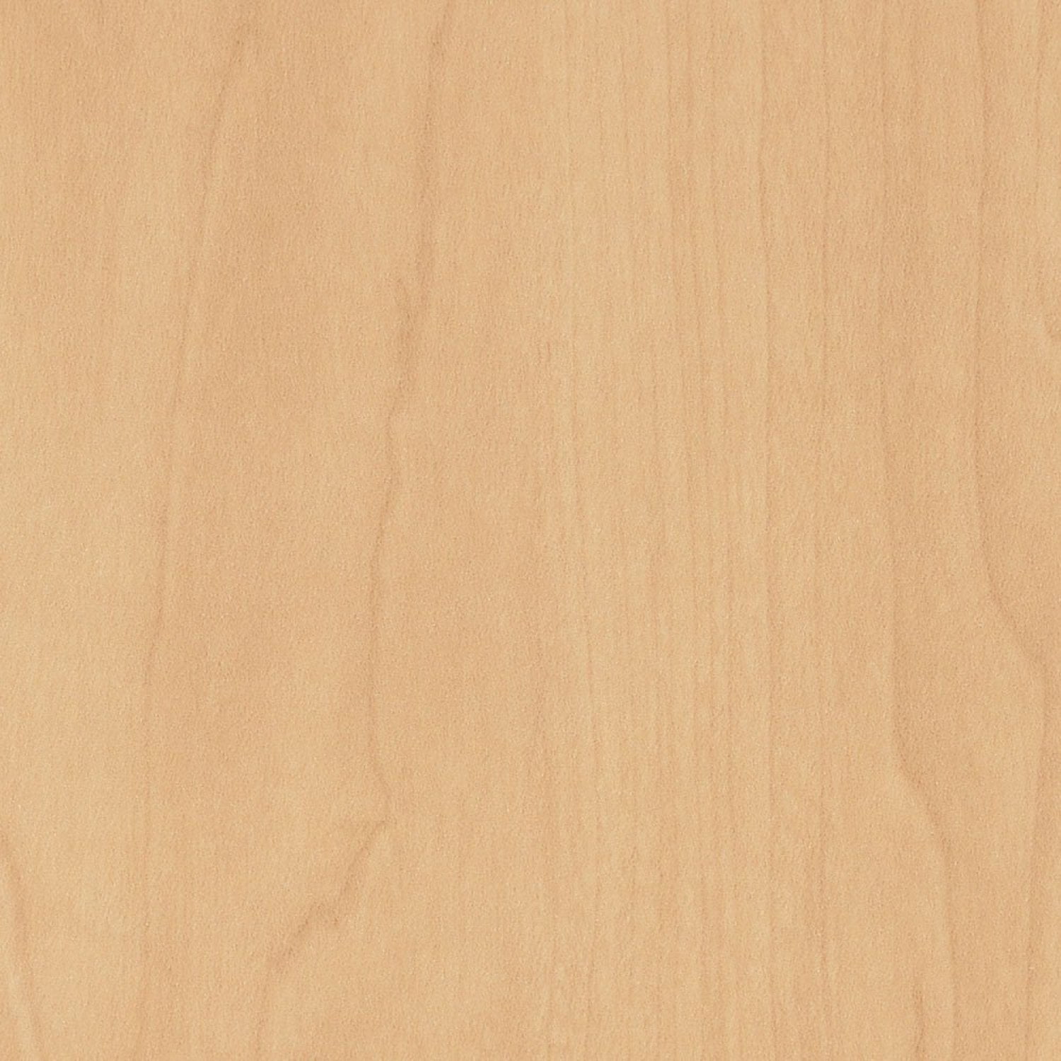 LXFF Sheet Laminate - Vertical Grade - 4 x 8: Amber Maple, Matte Finish ...