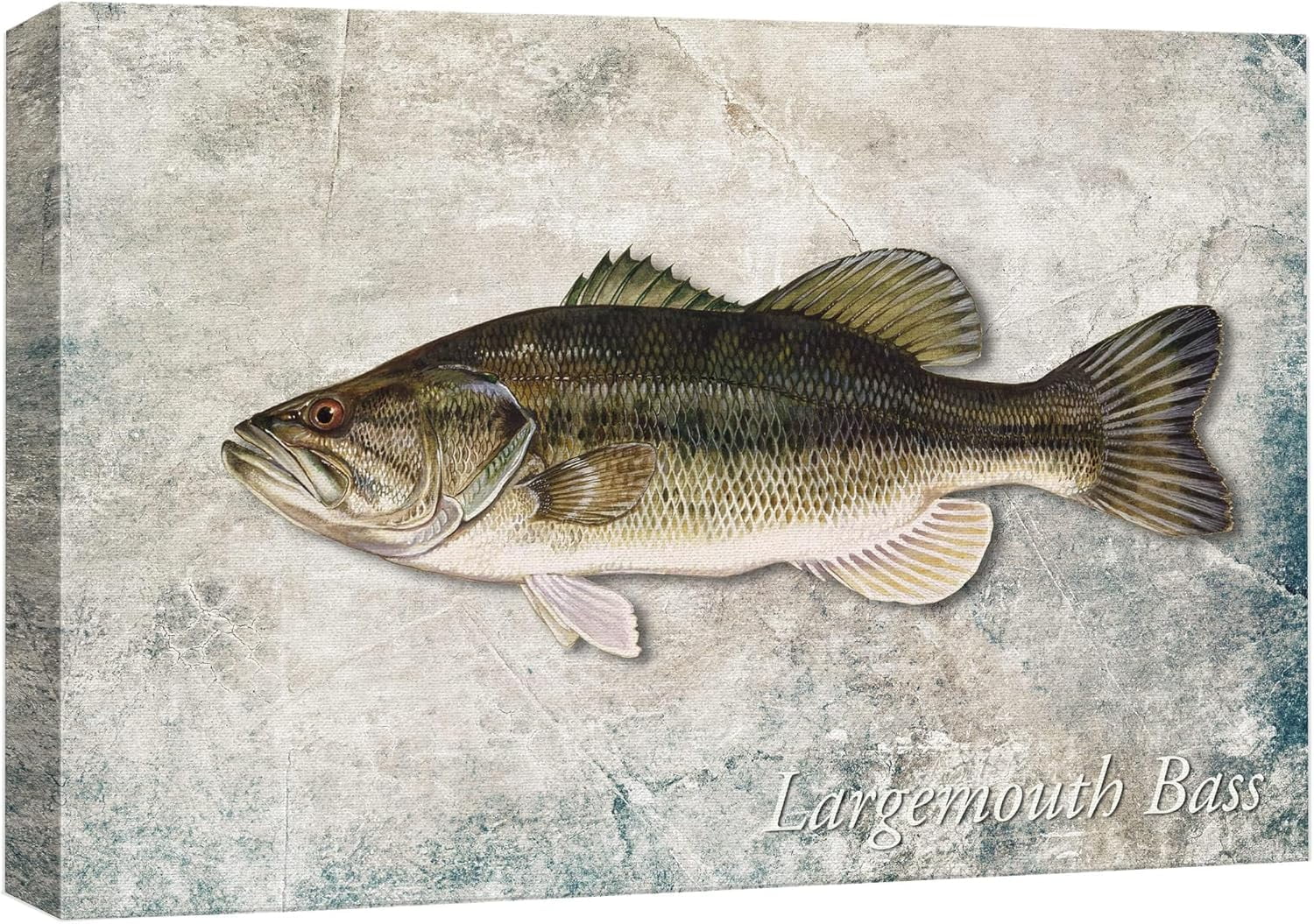 LXHB Canvas Prt Wall Art Largemouth Bass Fish on Granite Background ...