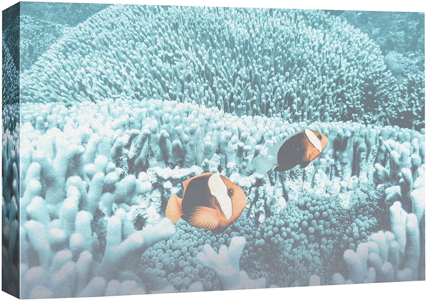 LXHB Canvas Prt Wall Art Two Clownfish The Coral Amphibians Ocean ...