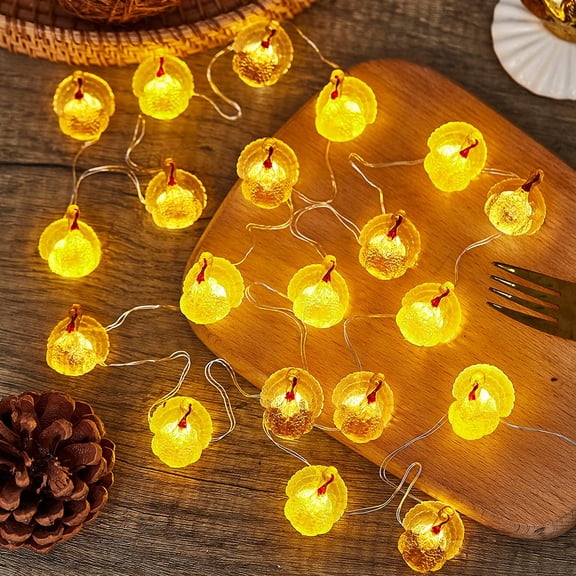 Turkey Lights