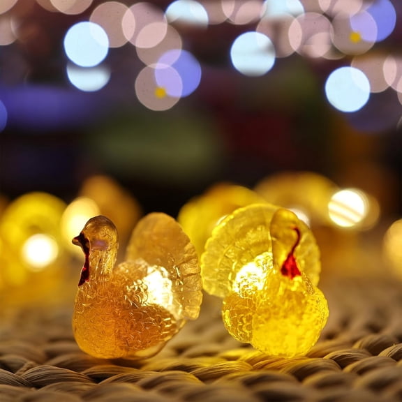 Turkey Lights