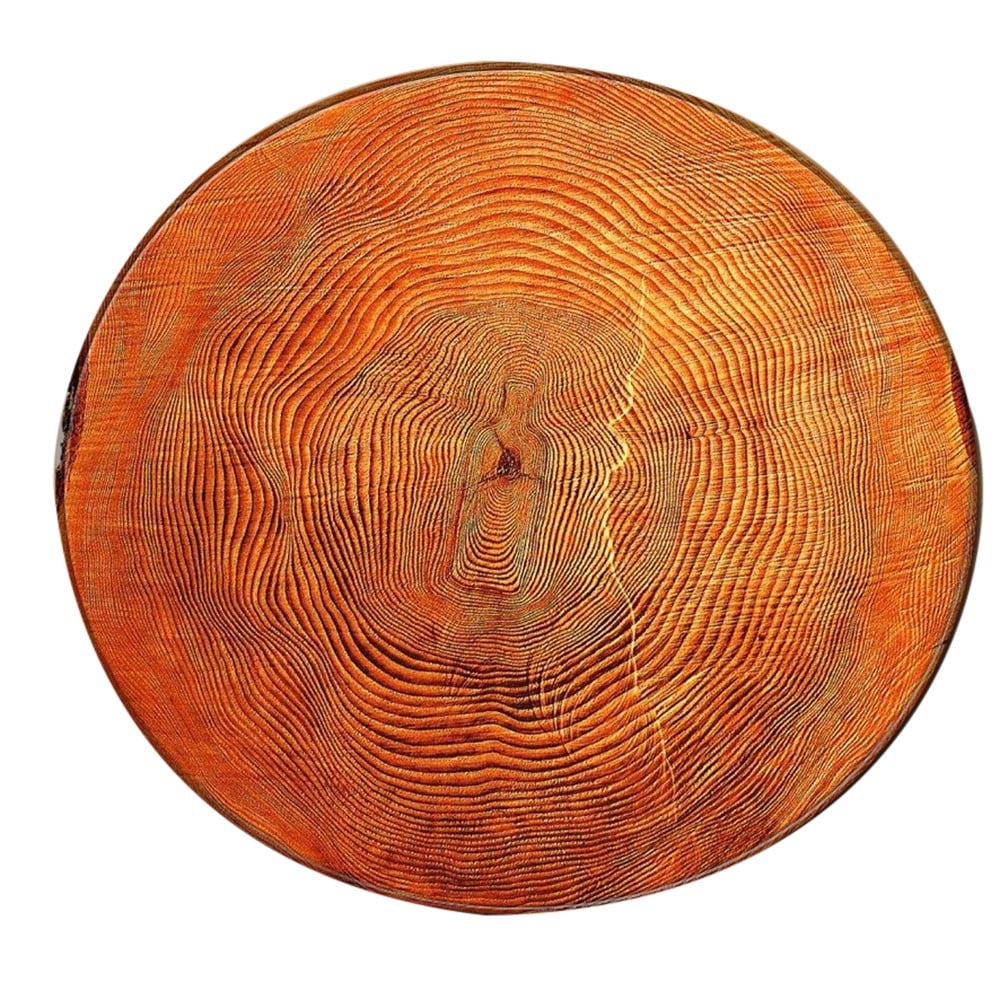 LYCAQL Round Area Rugs 2 Ft Tree Rings Grain Play Room Mat Non-Slip ...